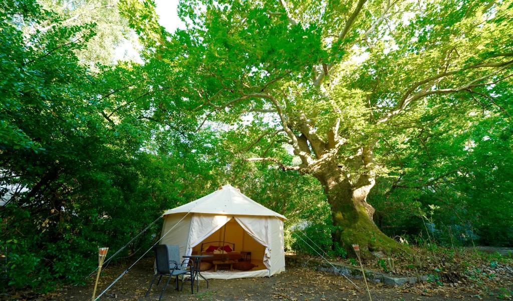 Glamping Σκηνές Ελλάδα - Domes Tents Αγορά Τιμές 2025 ☎️